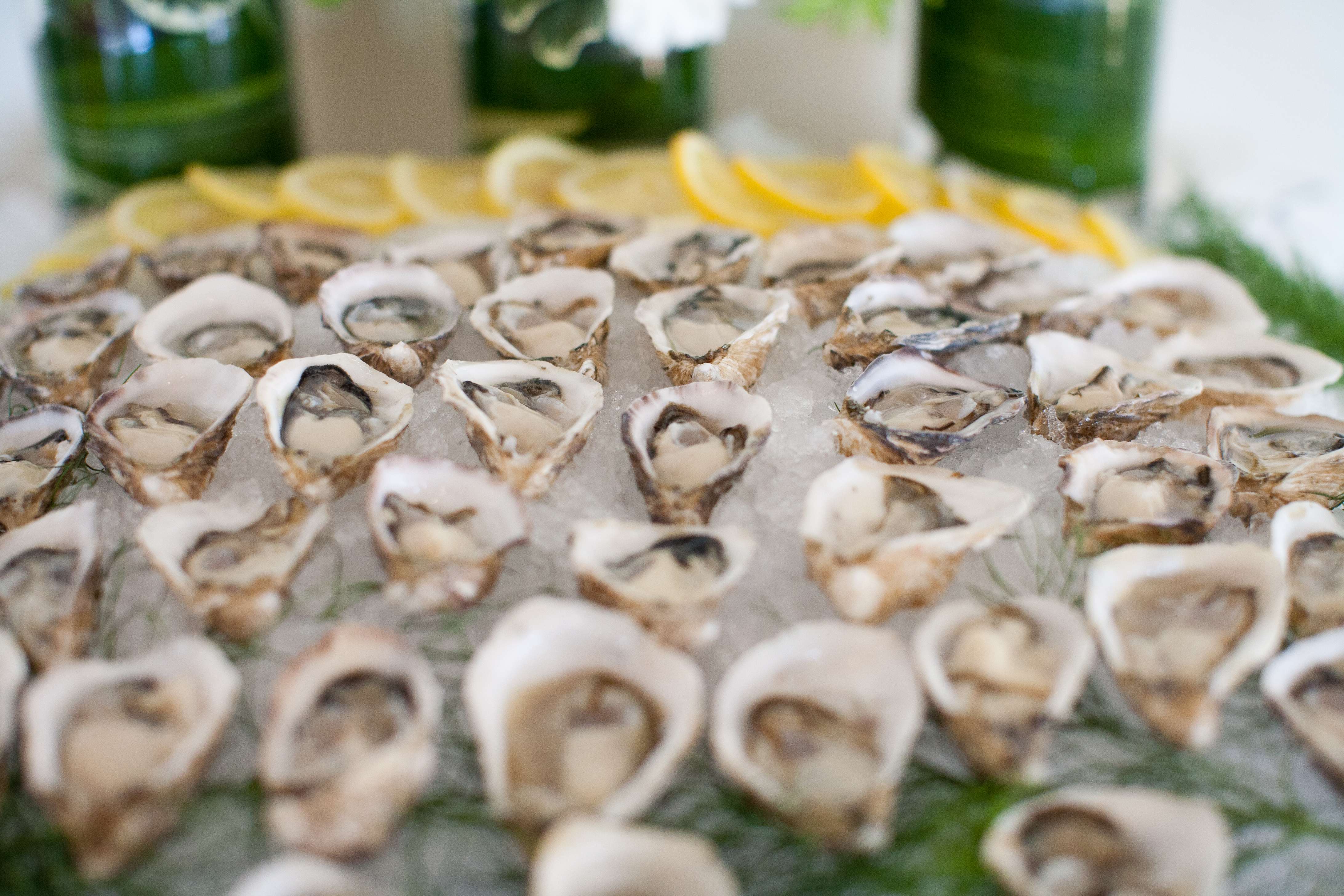 Events Gallery - Ray's