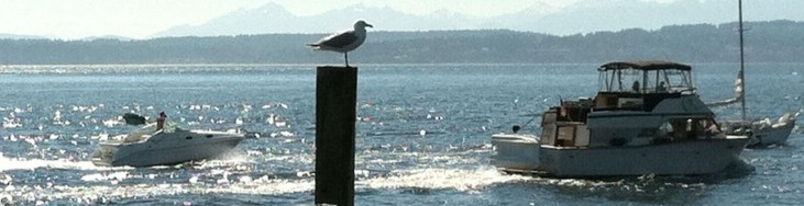 Ray's Boathouse | Seattle Restaurants | Dining in Seattle